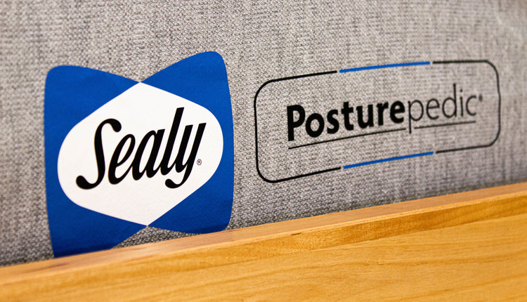 Murphy Beds | Purchase Real Wood Murphy Beds – The Bedder Way Co